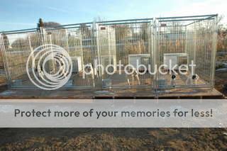 scott dog kennel - Gun Dog Forum