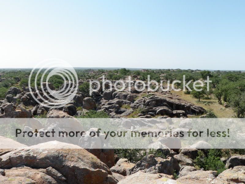 Katemcy Rocks again.... | Pirate 4x4